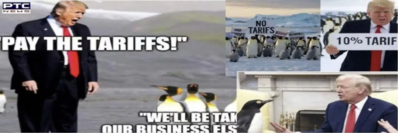 PT/SOL - penguin tariff Price on PumpSwap | GeckoTerminal