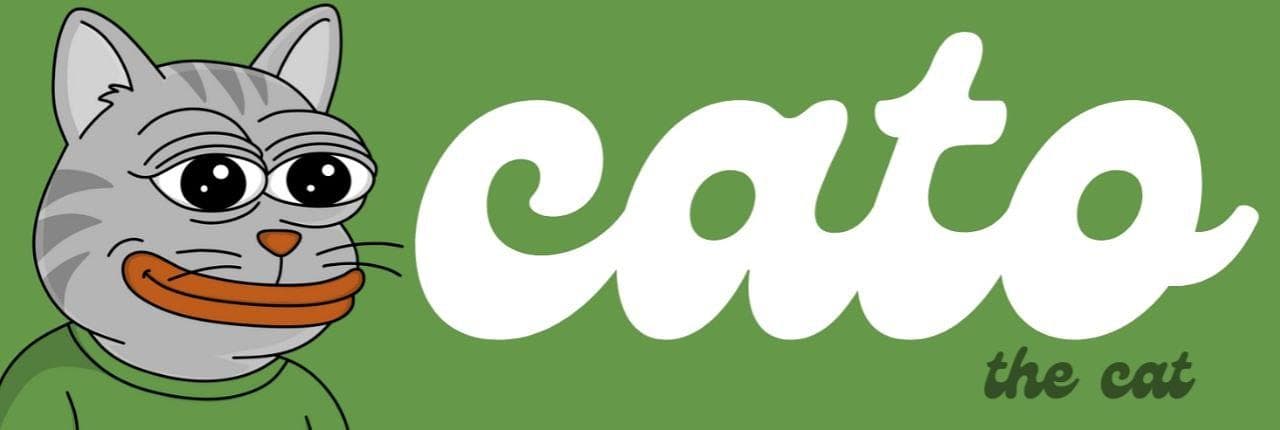 CATO/WETH - Cato The Cat Price on Uniswap V2 | GeckoTerminal